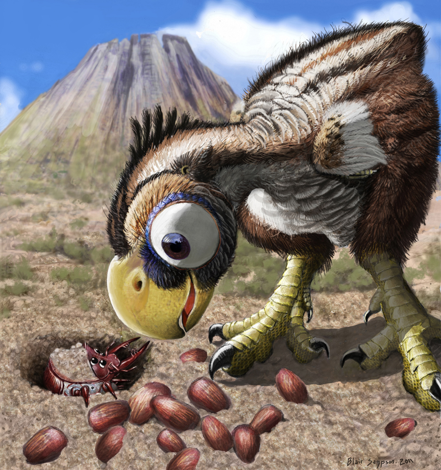 Mi blog: Galería de imágenes: Brontornis