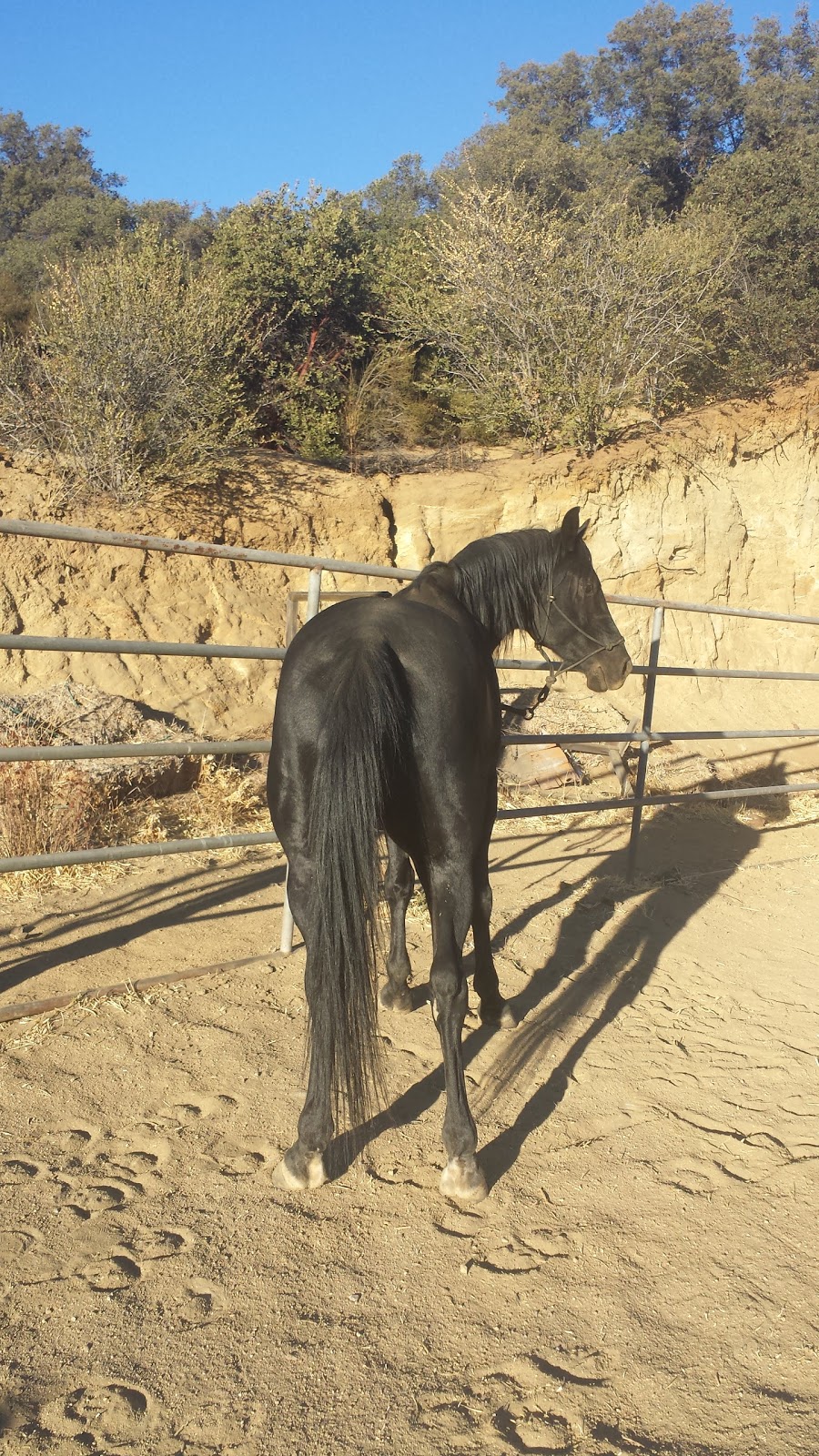 The Further Adventures of Team 91: The Purina Feed Greatness Challenge