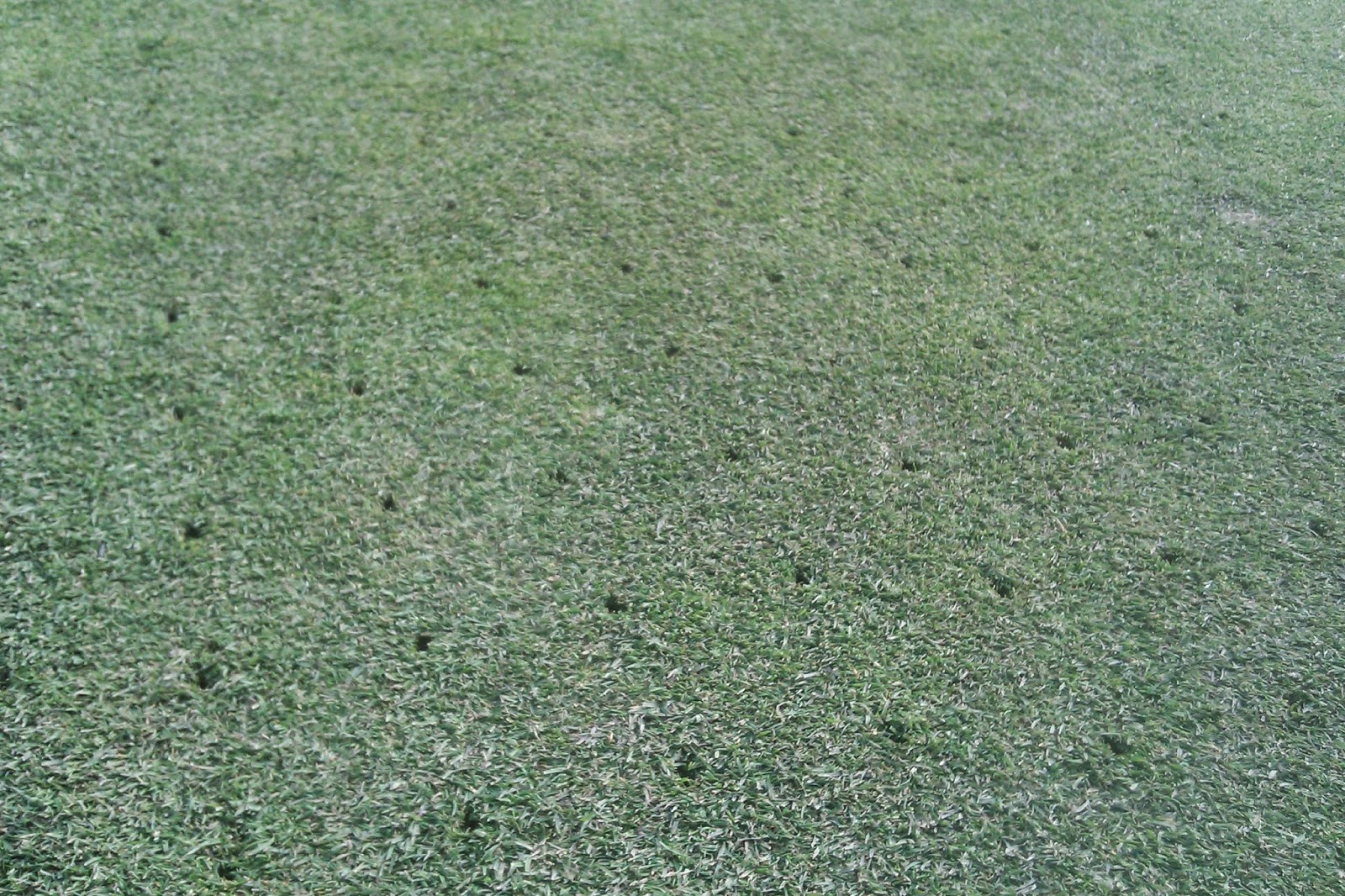 Malton and Norton Golf Club Greens Department: October 2013