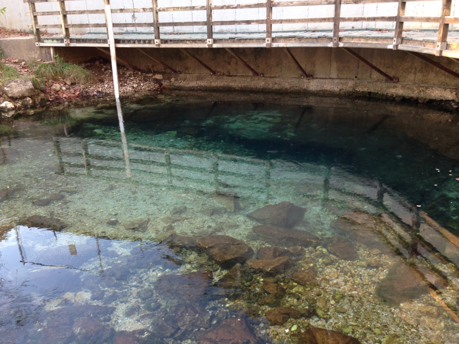 ROUBIDOUX CAVE SPRING RESURGENCE - ADAM HAYDOCK