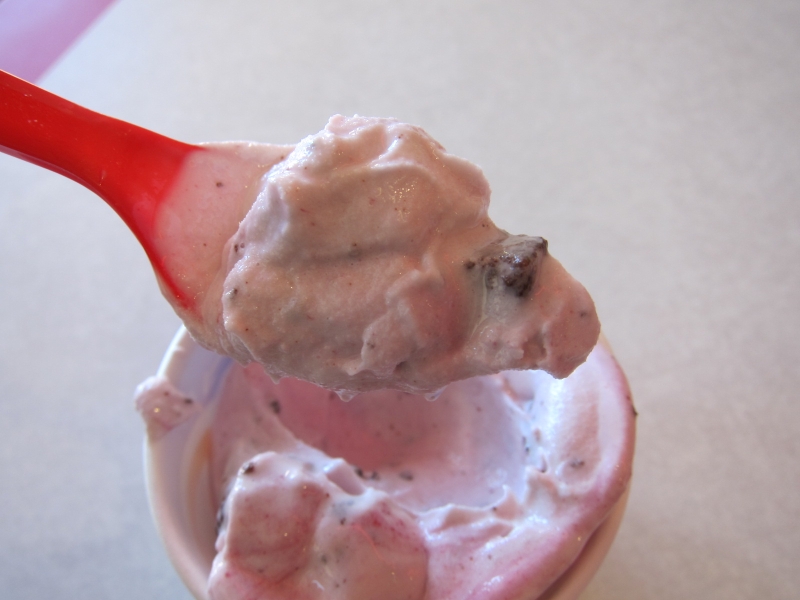 Review: Dairy Queen - Tripleberry Brownie Blizzard