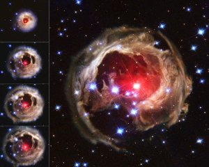 Red supergiant stars – Explained