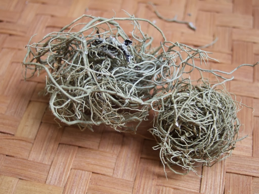 LESSAN Yogyakarta: Simplisia dan Bahan Jamu yang tersedia