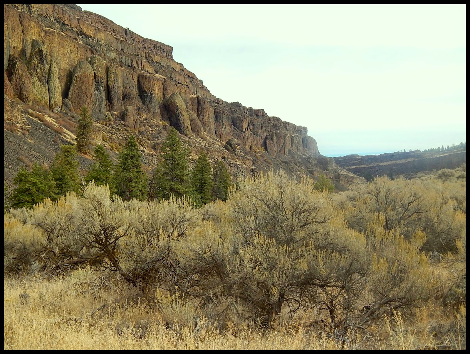 The Back Porch View: Northrup Canyon - A Time Capsule Awaiting Exploration