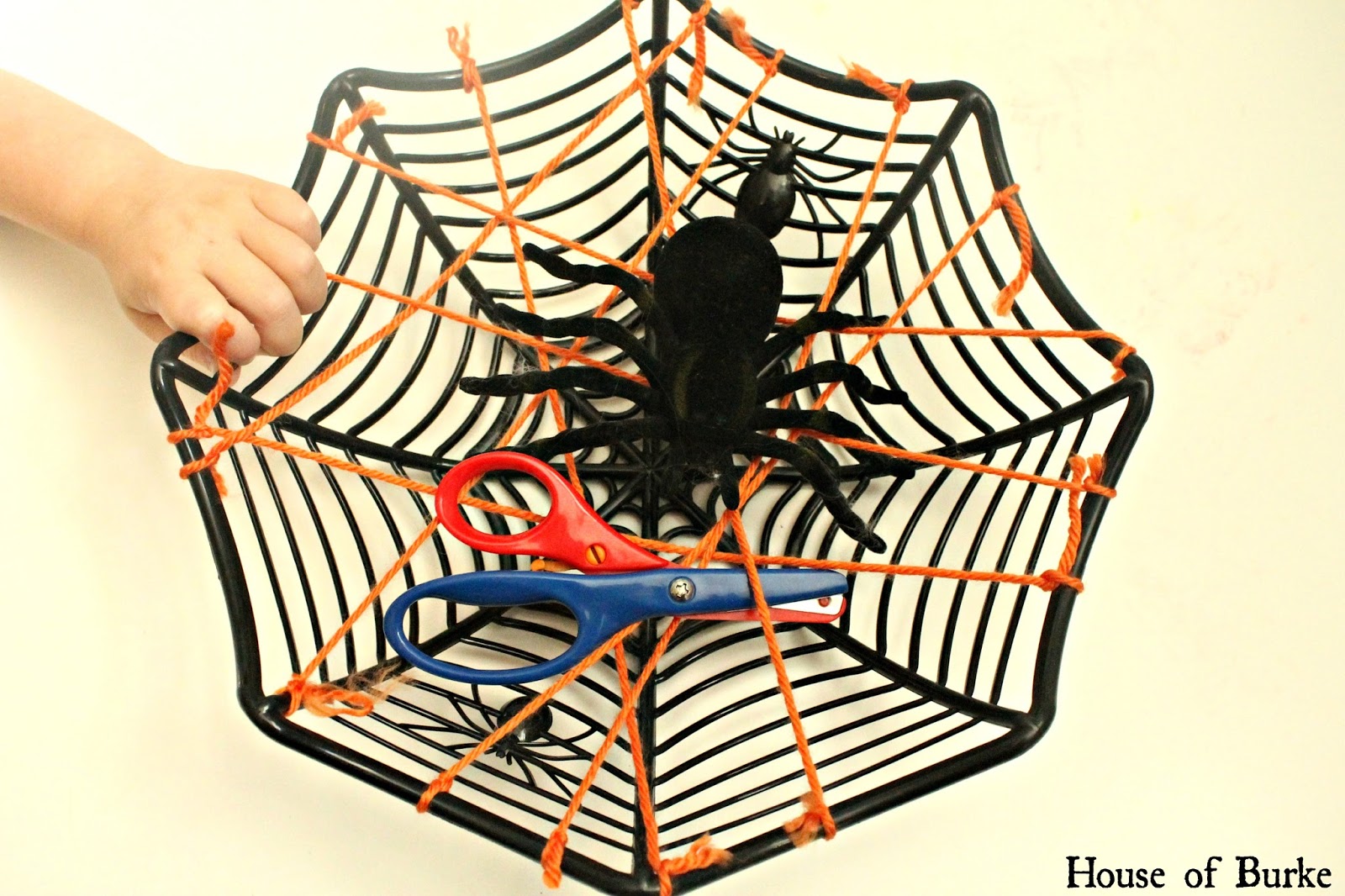 House of Burke: Spider Web Cutting Activity