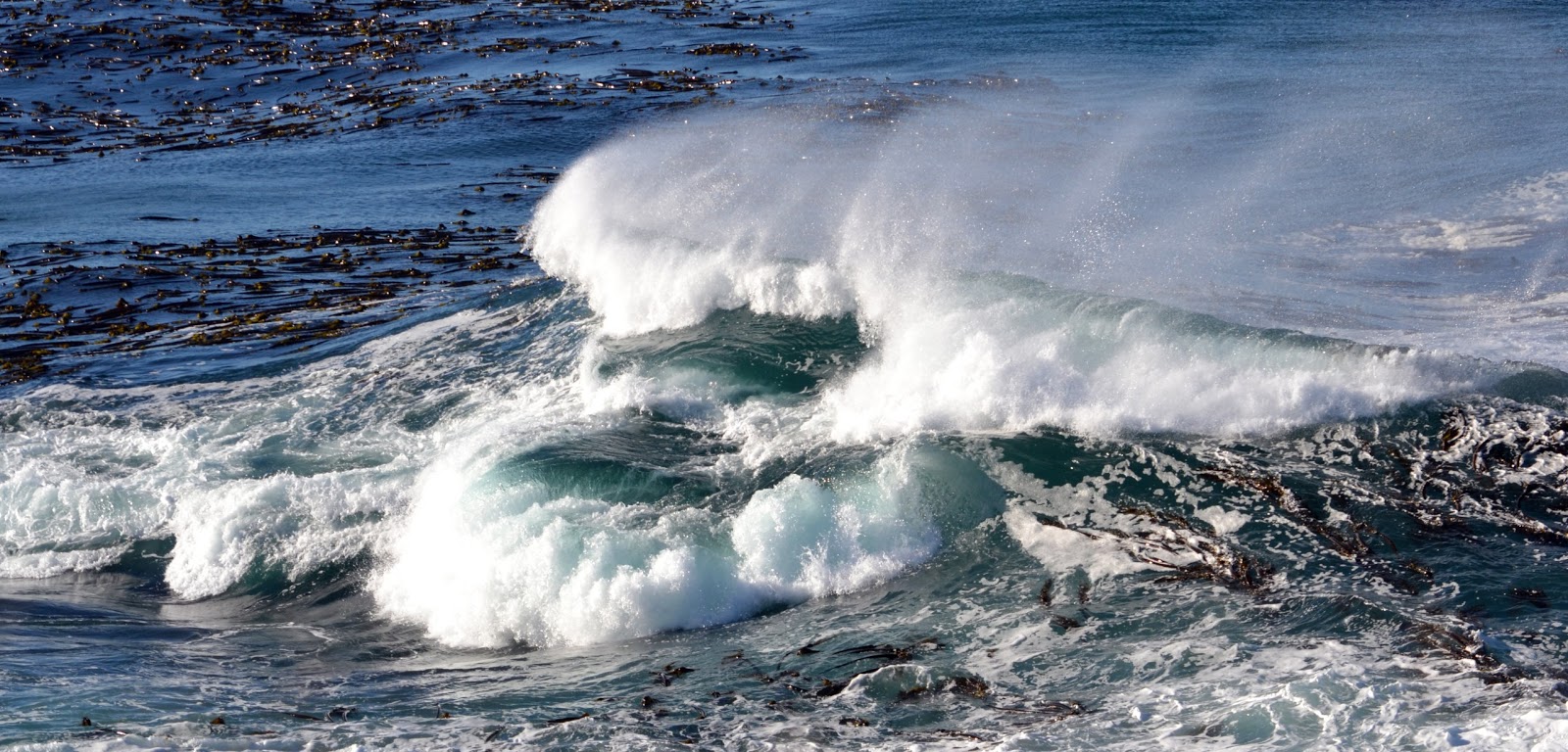 STX Photography by Carlon Cathey - www.stxwavephotography.com: Chop ...