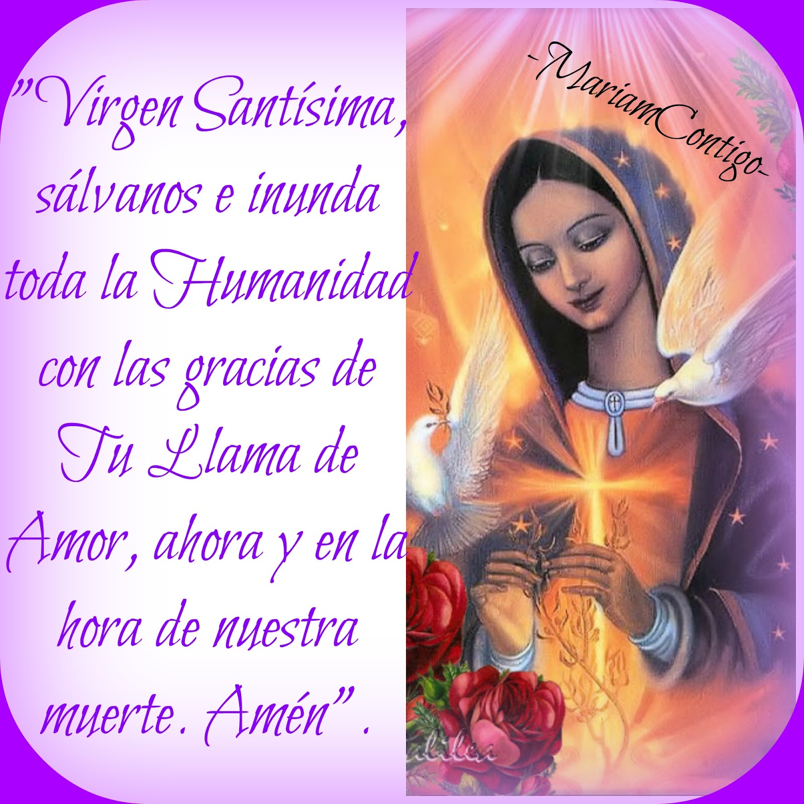 MARIA REINA Y SEÑORA POR SIEMPRE: ROSARIO A LA LLAMA DE AMOR DE MARÍA