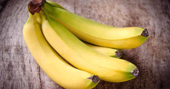 ~ Variedades útiles