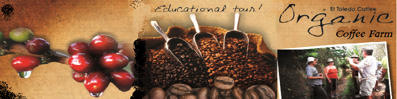 El Toledo, Cafe de Costa Rica!