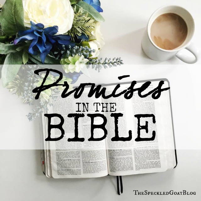 Promises in the Bible | The Speckled Goat: Promises in the Bible