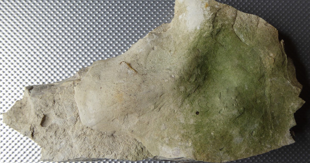 Portable Rock Art and Figure Stones - Eoliths: Eolith Shows Dinosour ...