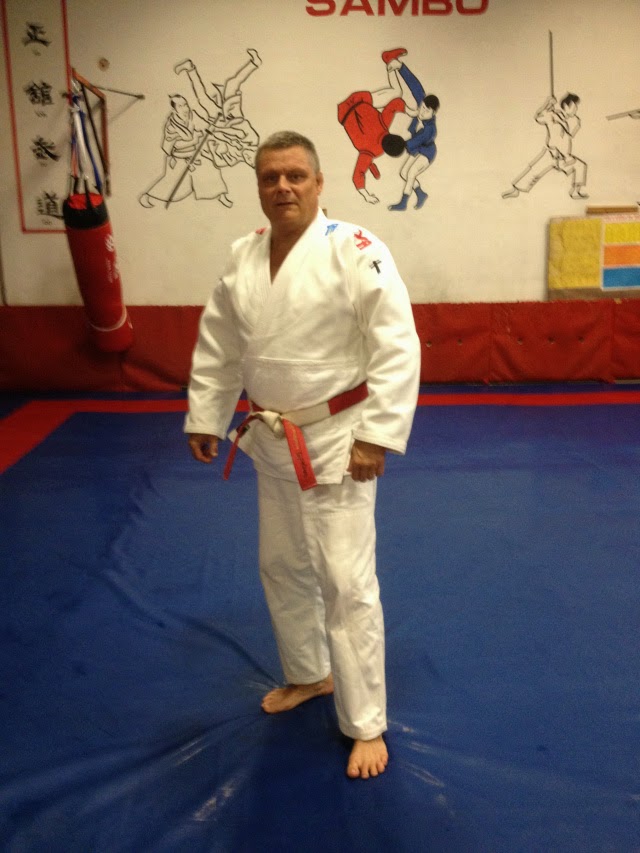 SAMBO: sambot combat