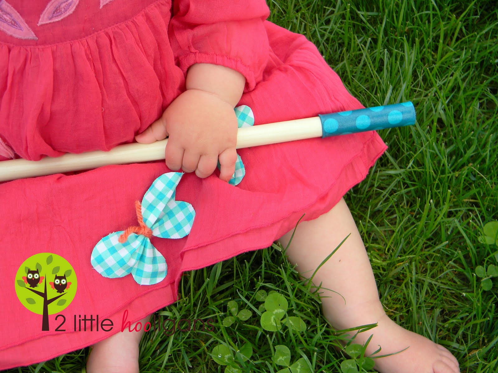 Butterfly Net…or…Bug Catcher?