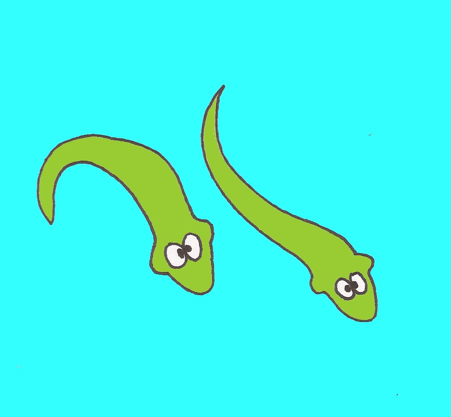 Man Overboard: Consider the Planarian