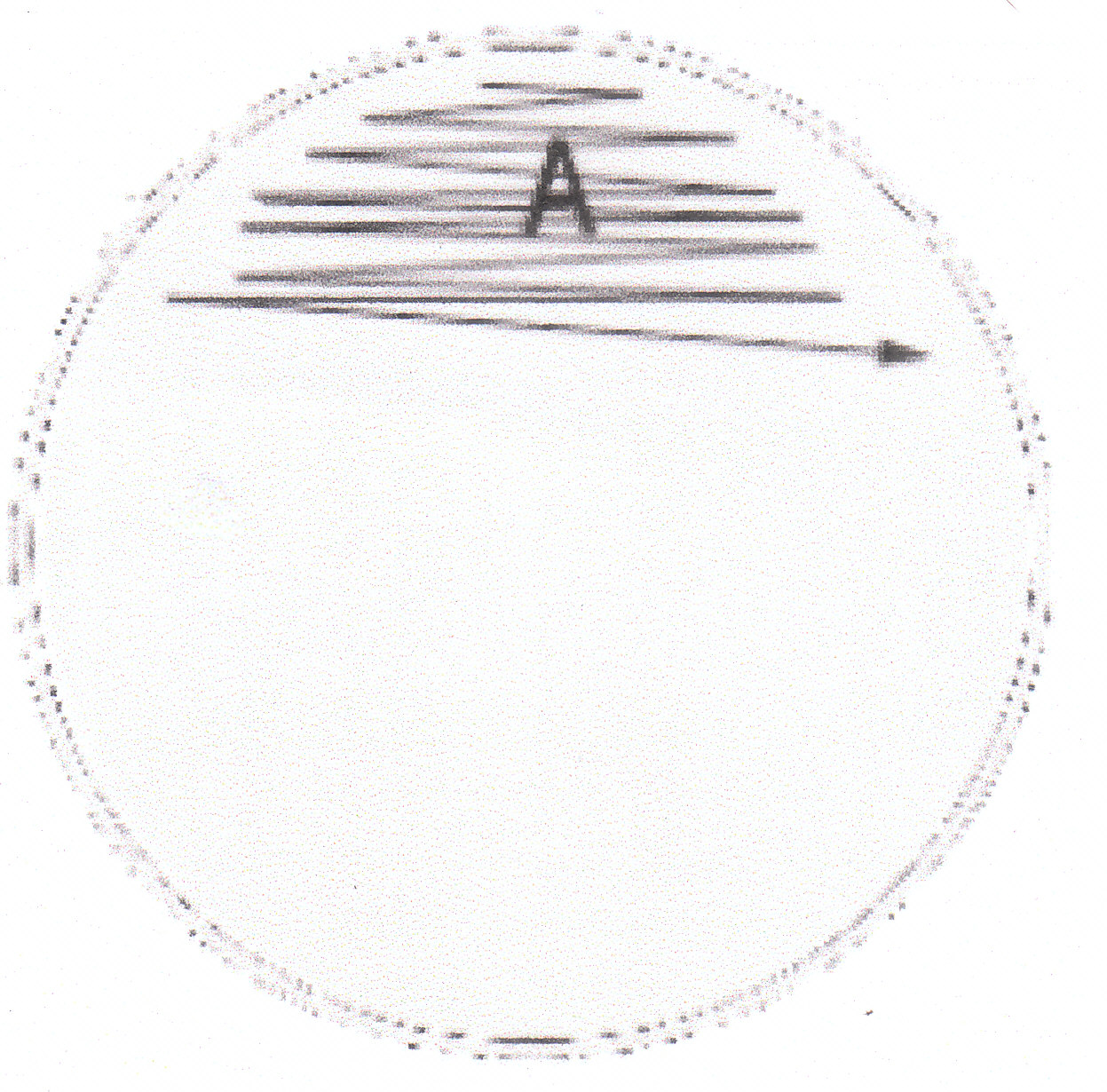 Laboratorio de Microbiologia: AISLAMIENTO DE BACTERIAS