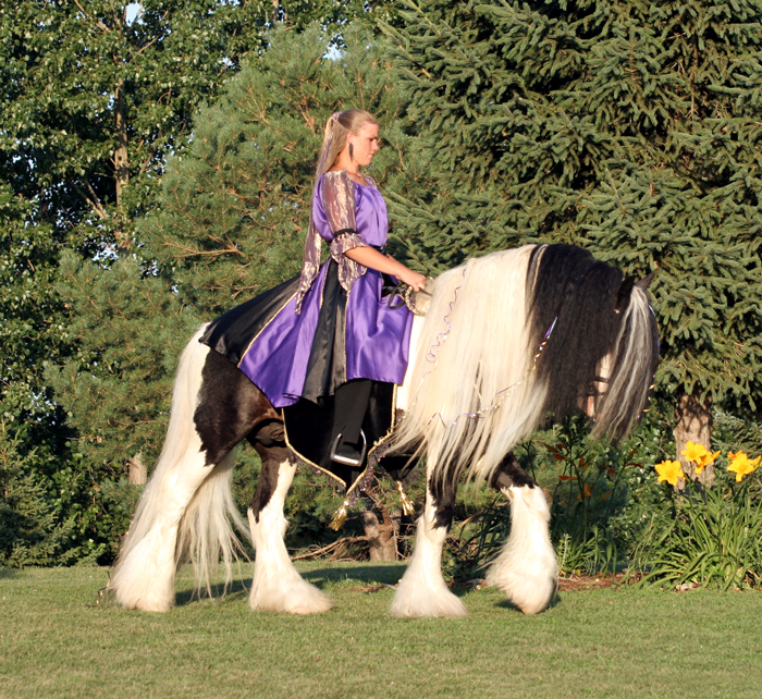 Pagan Cowgirl!: The Real Post: Gypsy Dreams of Horses