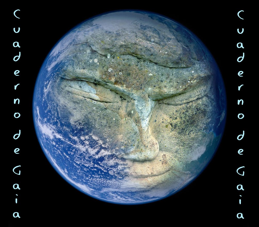 sobrevivir y vivir: ¿QUÉ ES LA HIPÓTESIS GAIA?