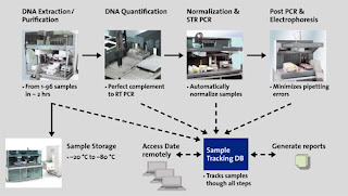 ALL ABOUT DNA: FORENSIC DNA