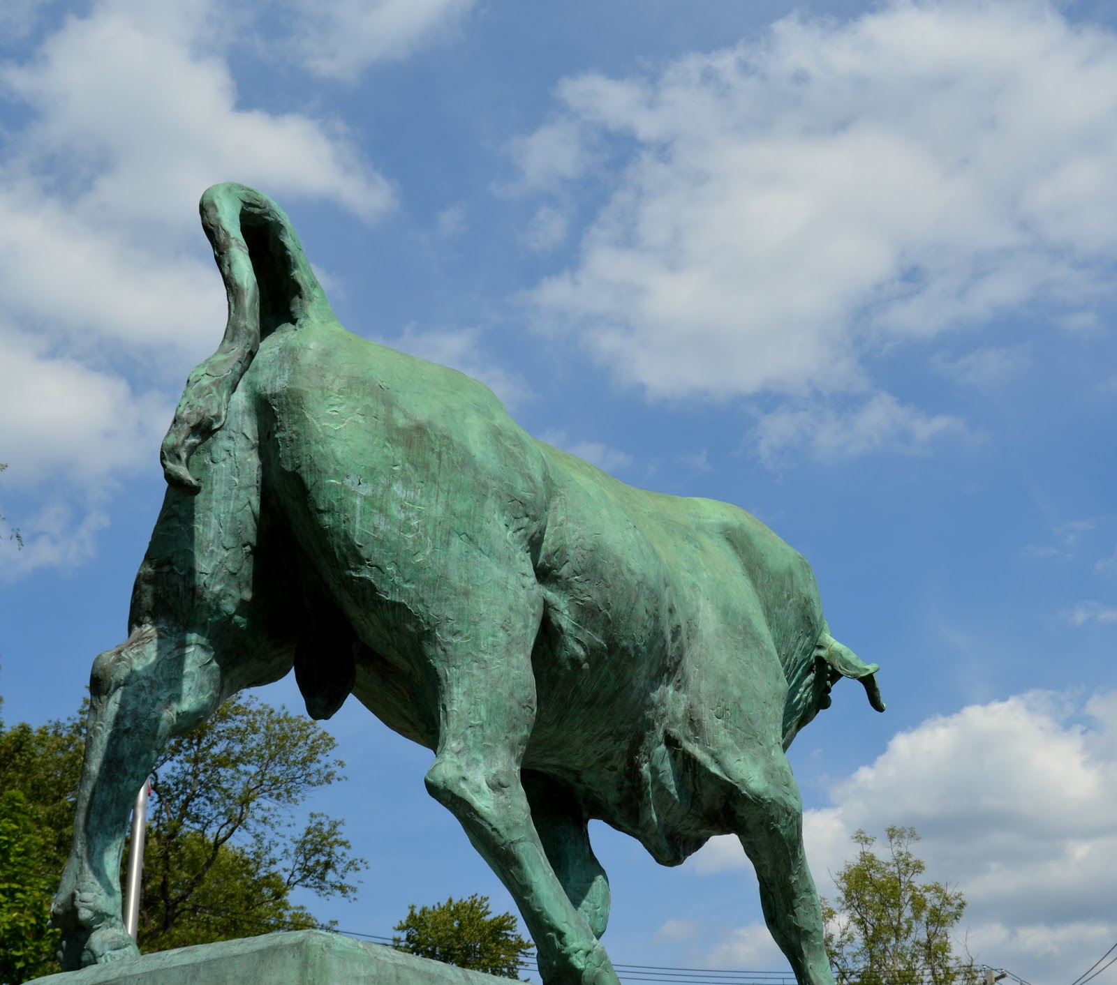 Shybiker: Smithtown Bull