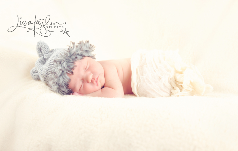 Lisa Taylor Studios | Utah Photographer