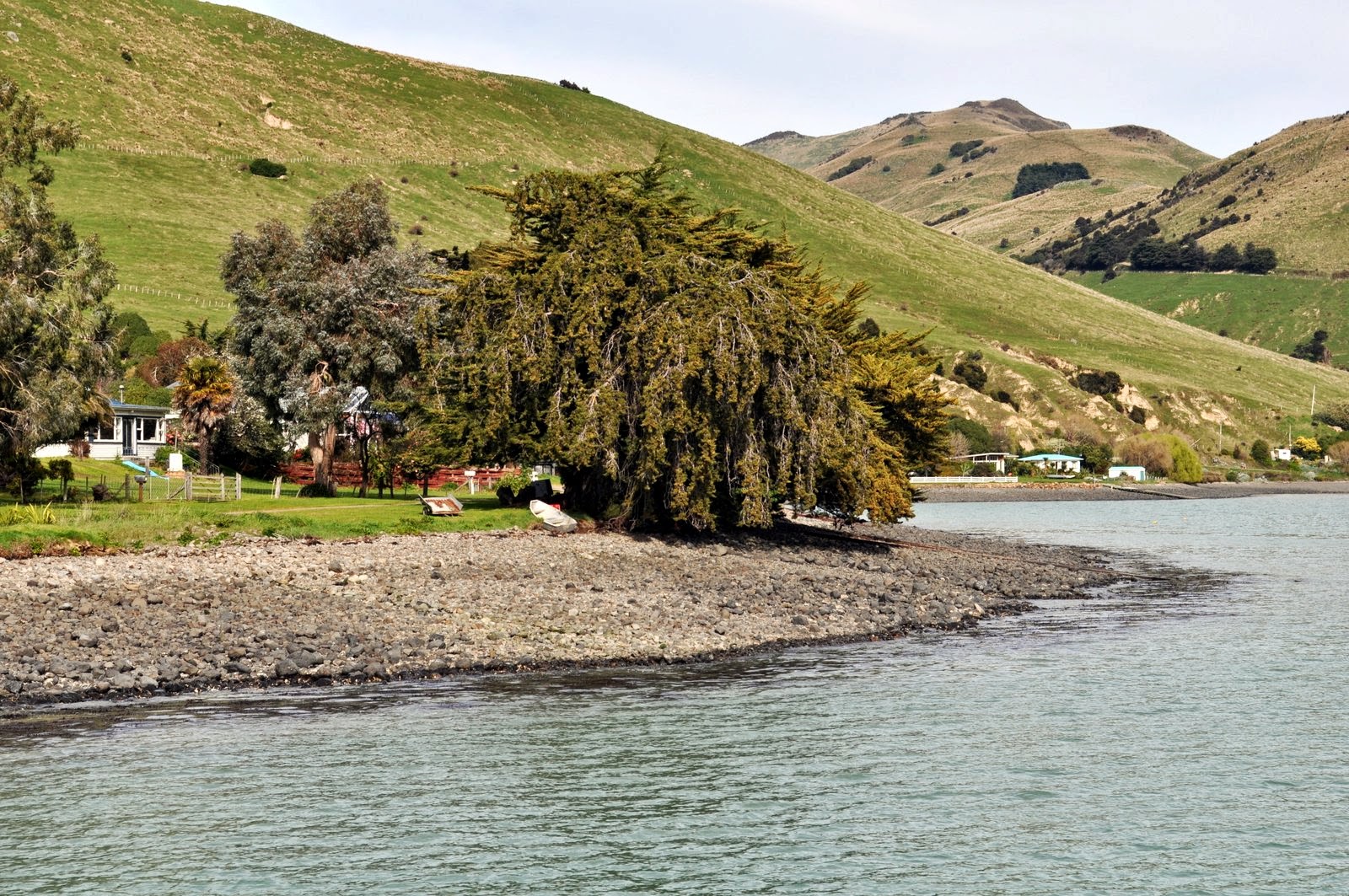 DUTCHCORNER: Port Levi