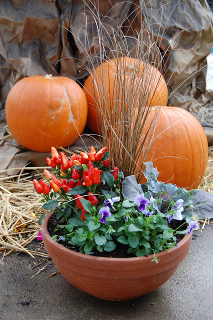 Lenna - My Pot Guru - Preppy Empty Nester F