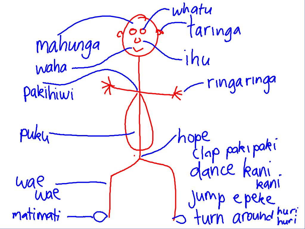 Miro 13: Mahunga, Pakahiwi, Puku, Hope, Wae Wae!