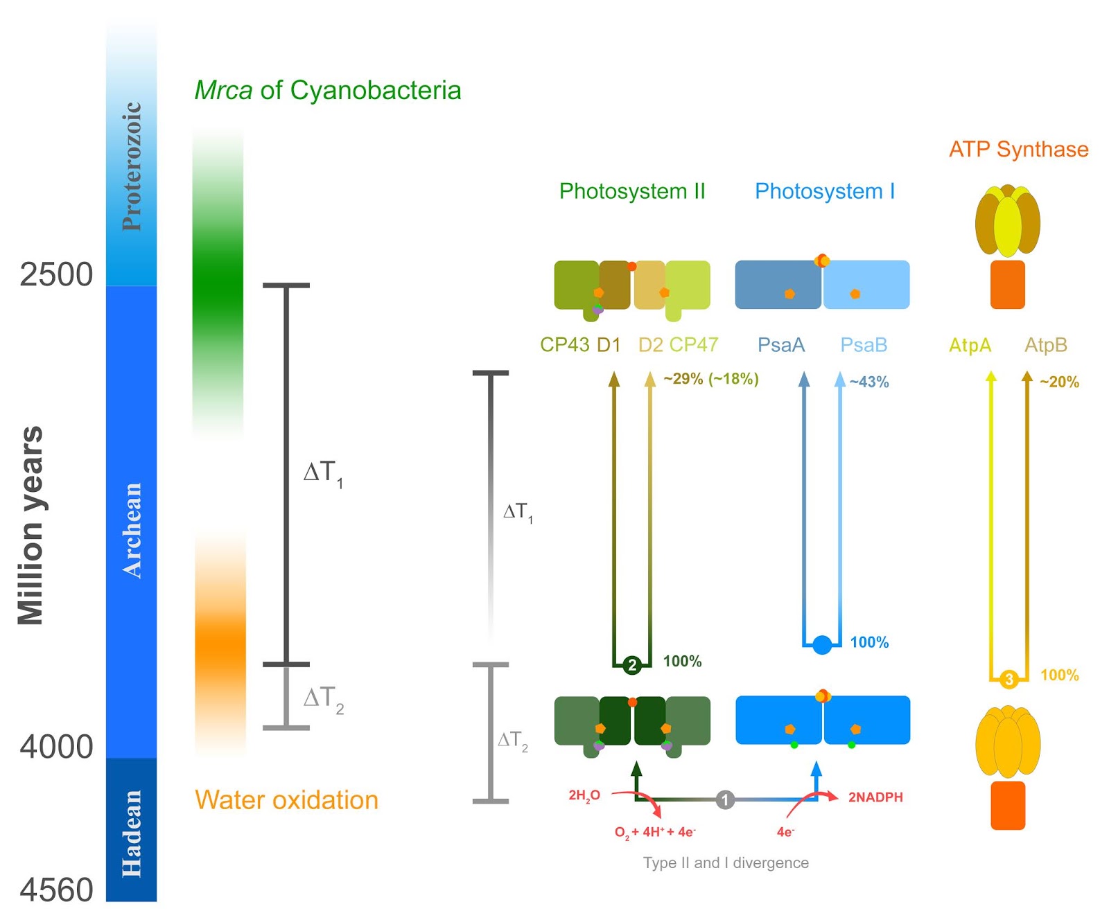 Tanai's Science Blog: What if light was important for the origin and ...
