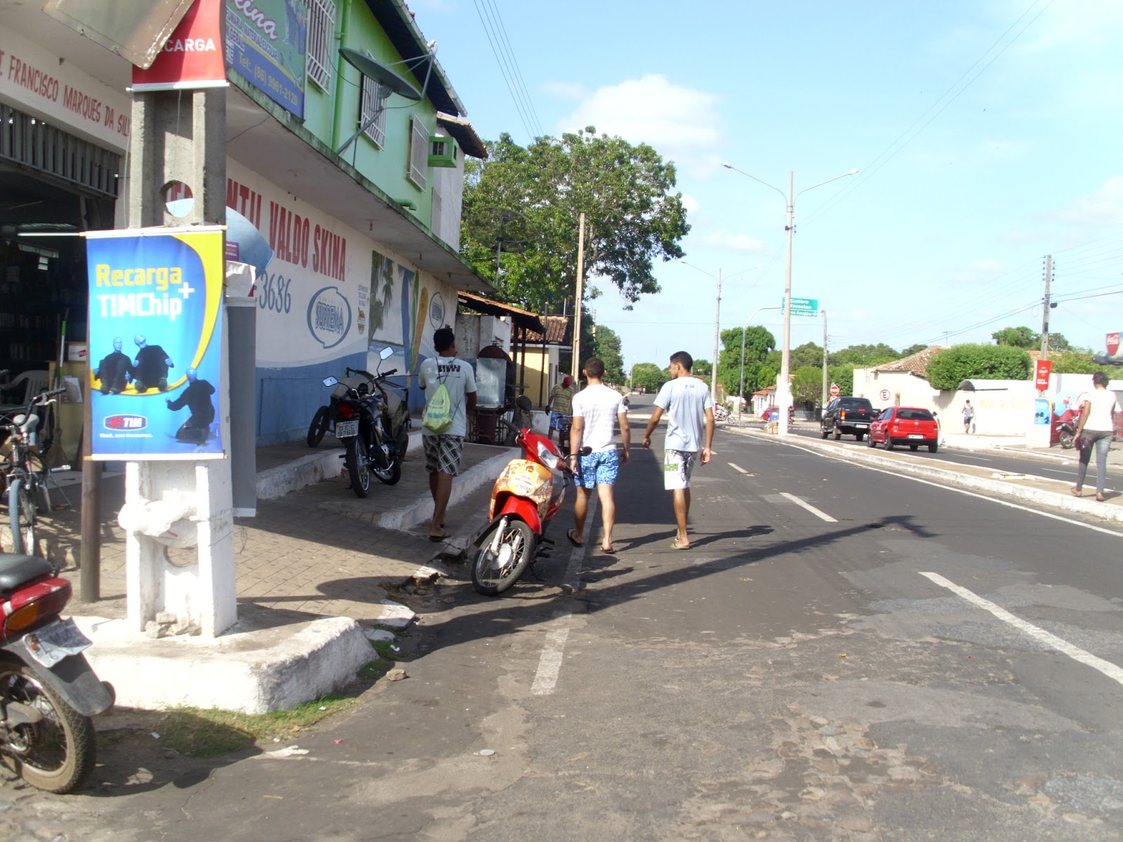 *Patrulha Lobo 2º PI GEES*: Insígnia Mundial do Meio Ambiente (IMMA)