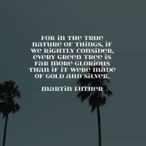 85 Nature quotes that'll inspire to love and value its beauty