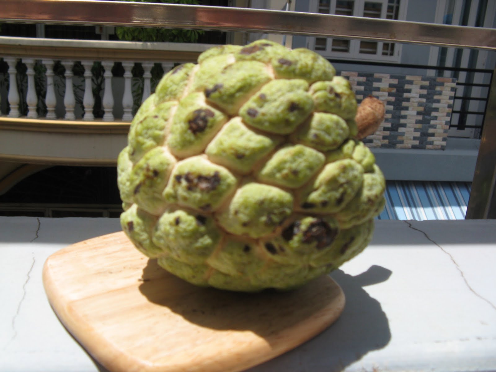 Head (South) East: The Custard Apple (Mang Cau)