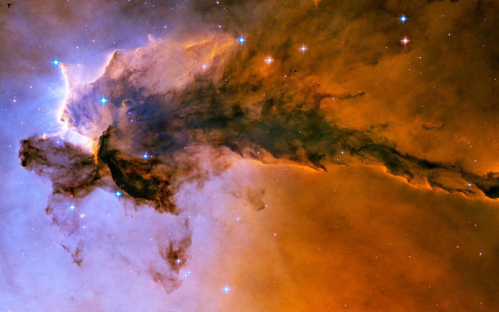 Matter Unorganized: A Loose Collective: Matter Unorganized