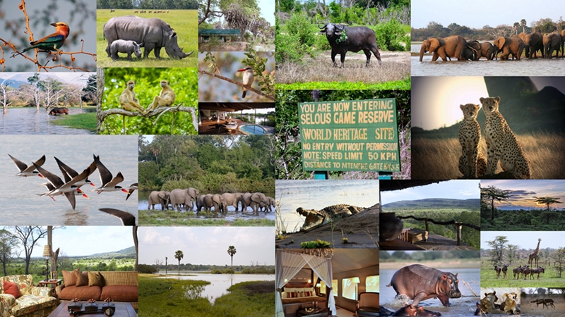 Safari Notes: Selous Game Reserve, Tanzania