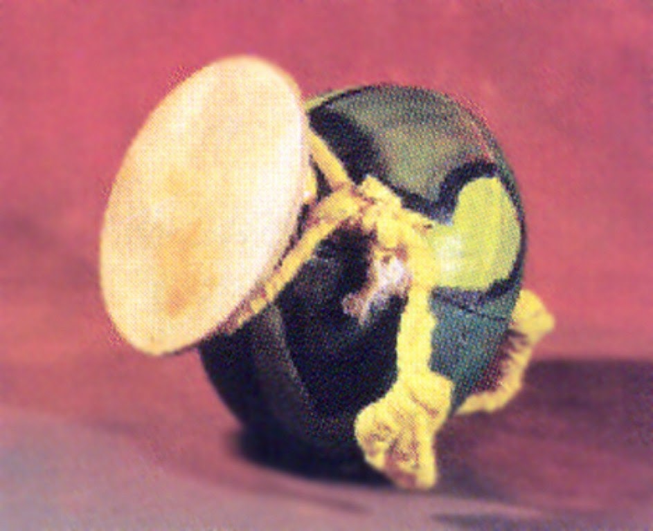 TEST ( PENDING ) 003: BUMMADIYA ( Sri Lankan Drum )