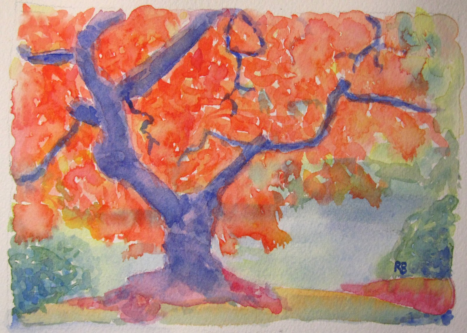 My Favorite Maple Tree