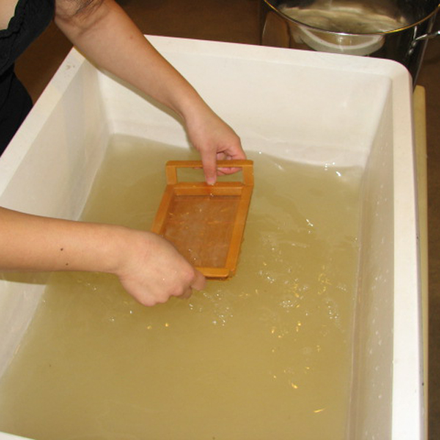 JOANNE RICH | Papermaker and artist: Japanese Papermaking