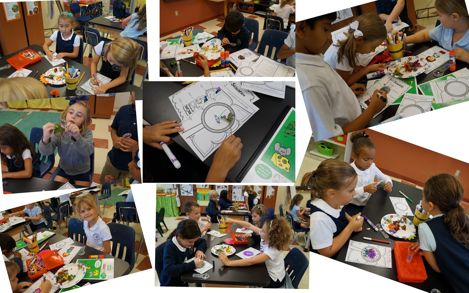 Miss Hunt's Super Science & Health Page: First Grade Nature Observations