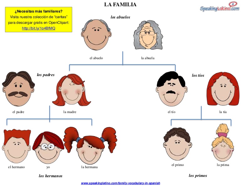 Nuestras clases de Español : Mi familia Y6
