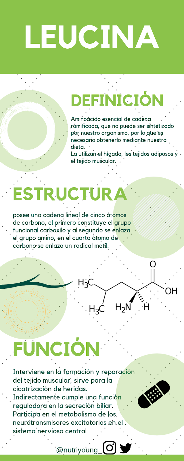 Leucina: Aminoácido esencial