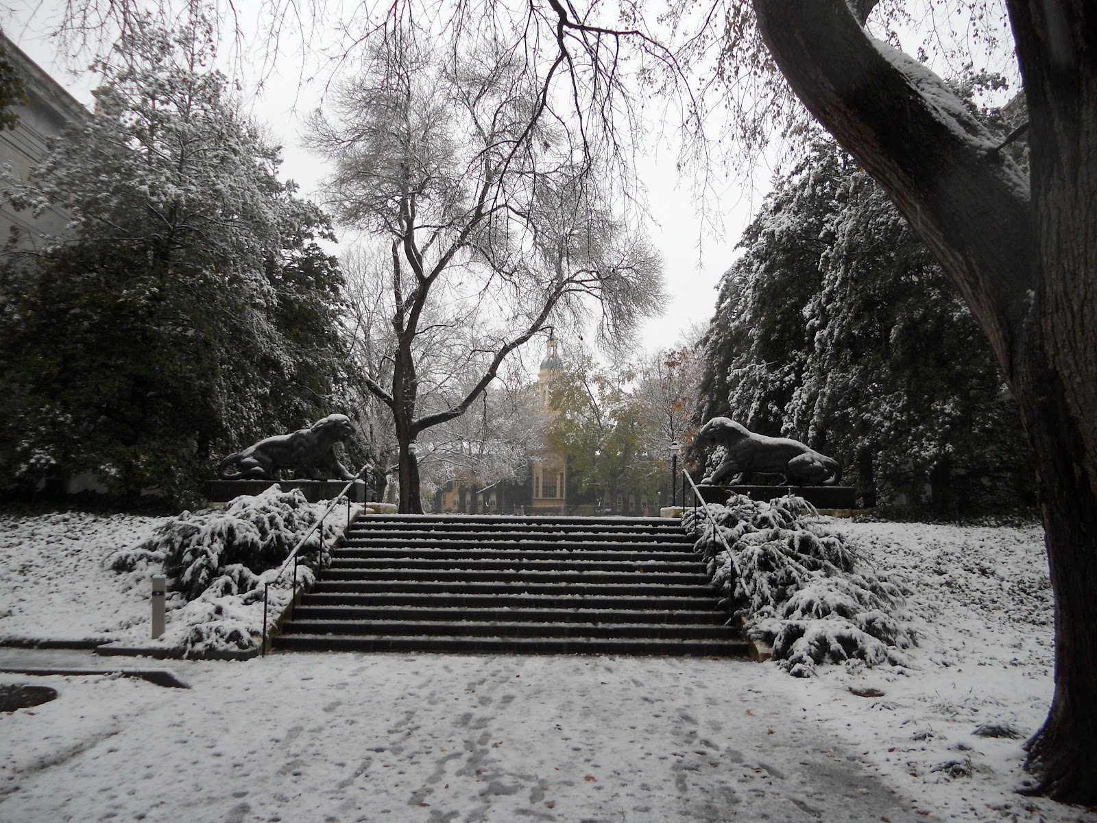 Nature Photography: First Snow at Princeton