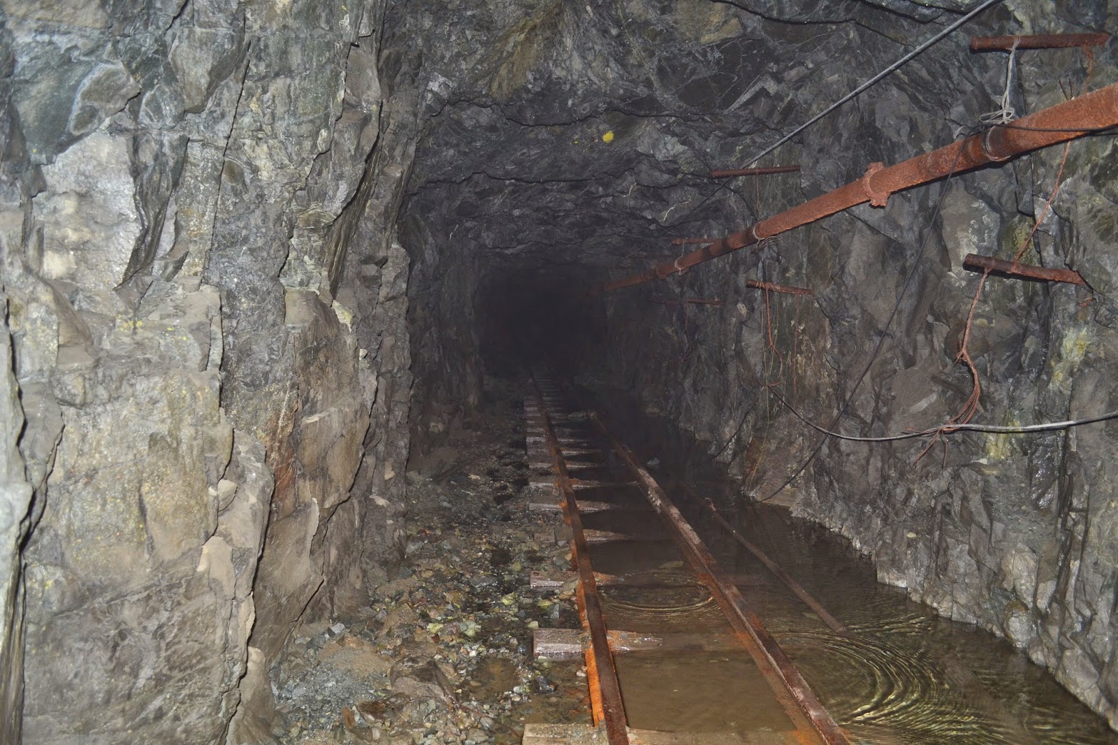 Northern Vancouver Island ~ The Undiscovered Coast: Benson Lake's ...