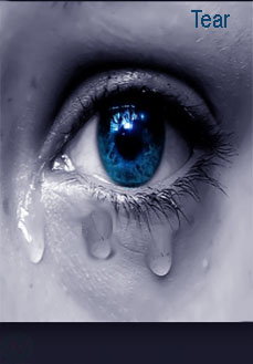 Learn Different Ways of Crying Name with Necessary Vocabulary ...