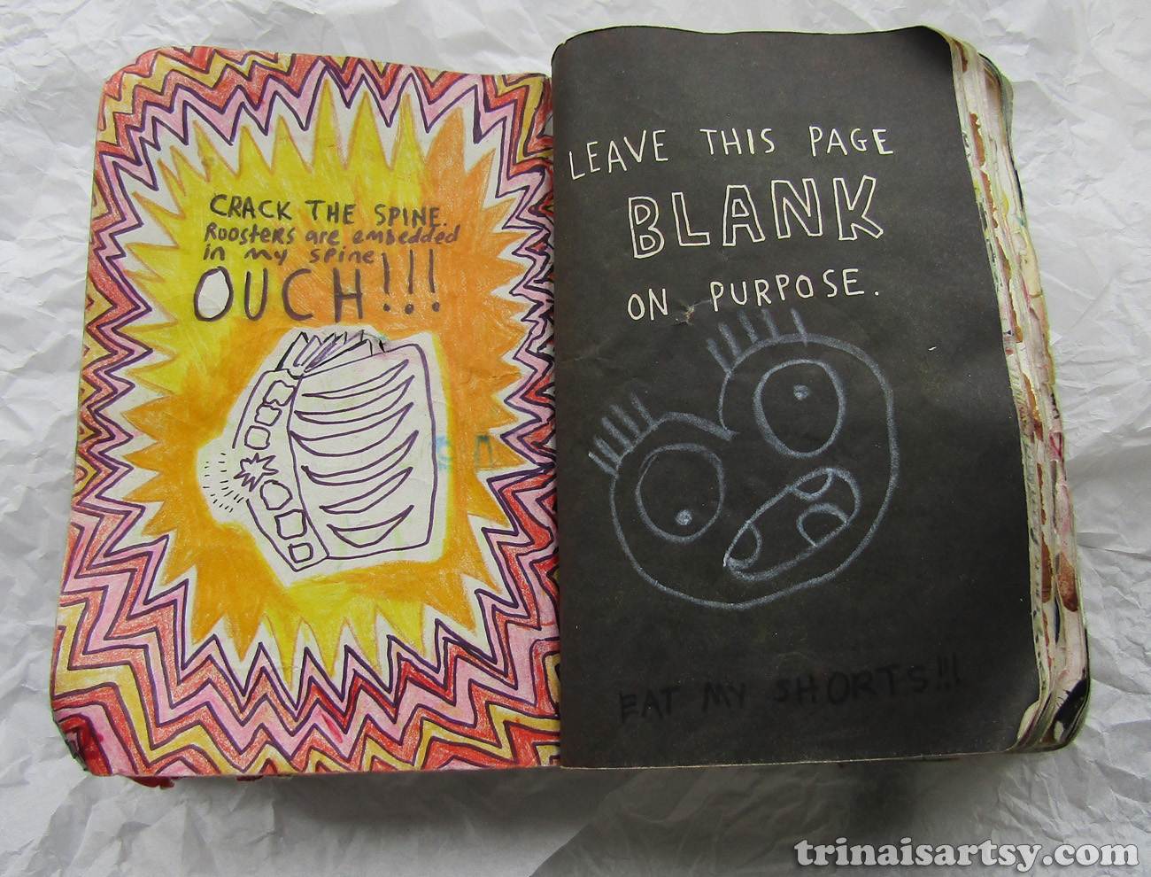 Wreck This Journal Back Cover