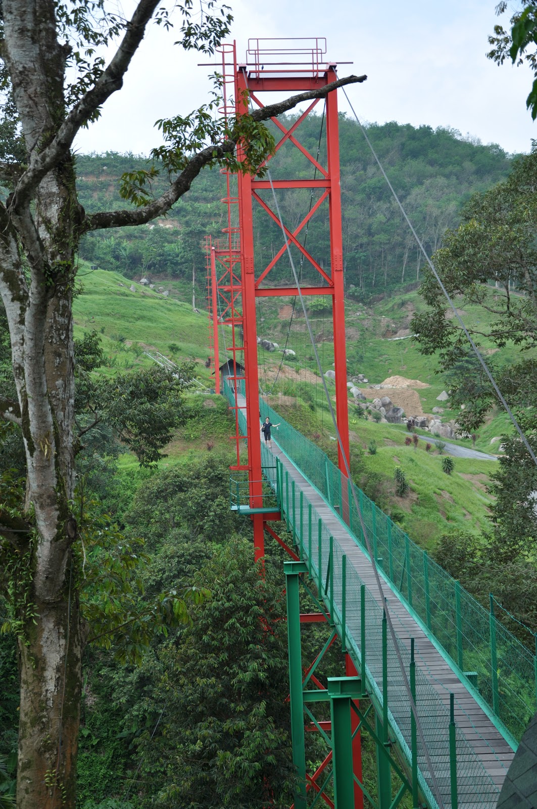 Sungai Siput Boy: Pekan Broga: Gigantic Monkey God at Sak dato Temple ...