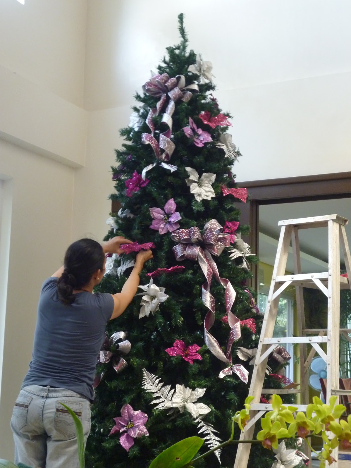 Tales and Stories of the 10,000 wpm Talking Mommah