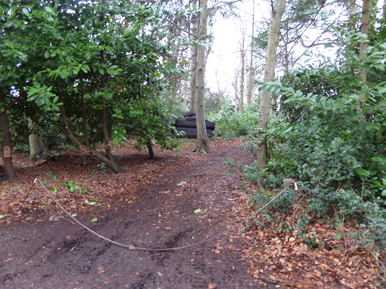 Clutter-Chaos Aaron&co: Snowdrops @ Chirk Castle