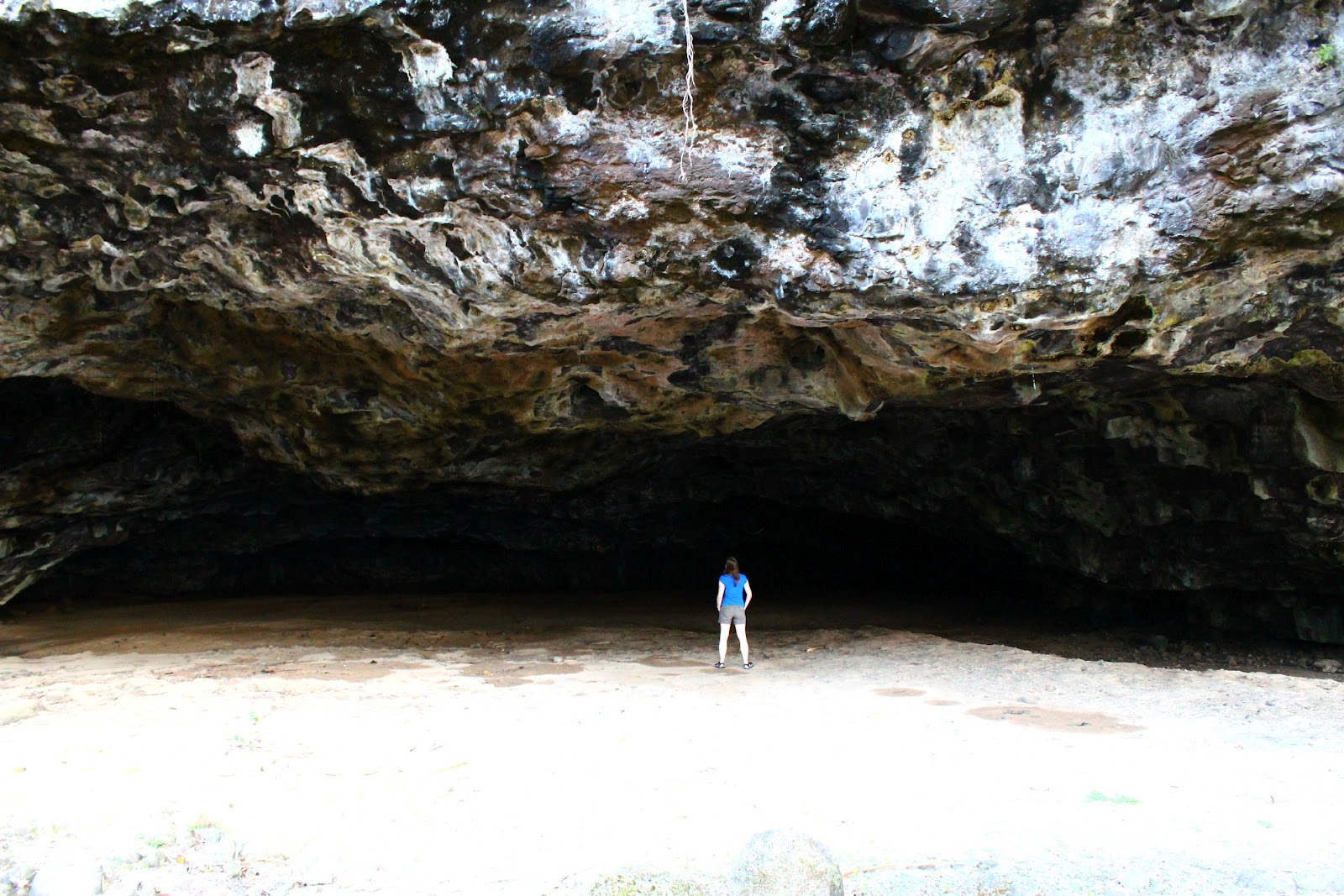 Diving into the Wreck: Honeymoon in Hawai'i - Day 8: Kauai