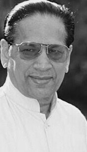 CHINAR SHADE : VASANT SATHE AND KASHMIR