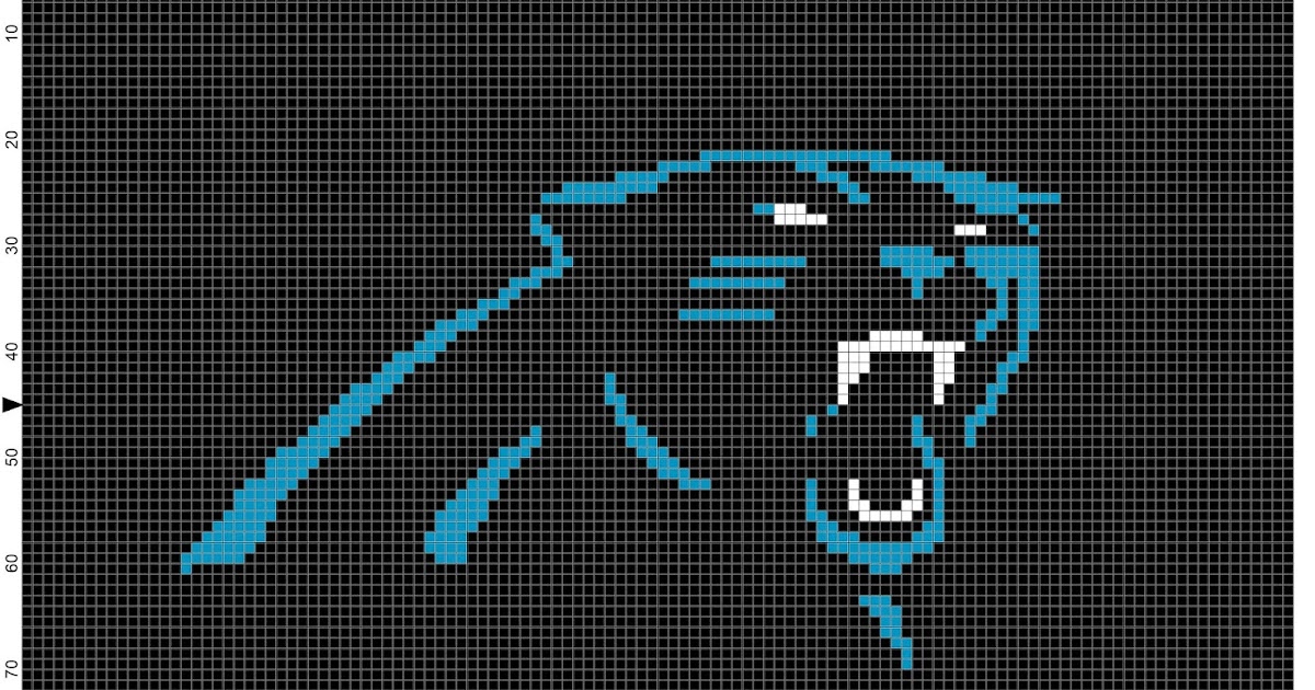 Kendra's Crocheted Creations: Carolina Panthers