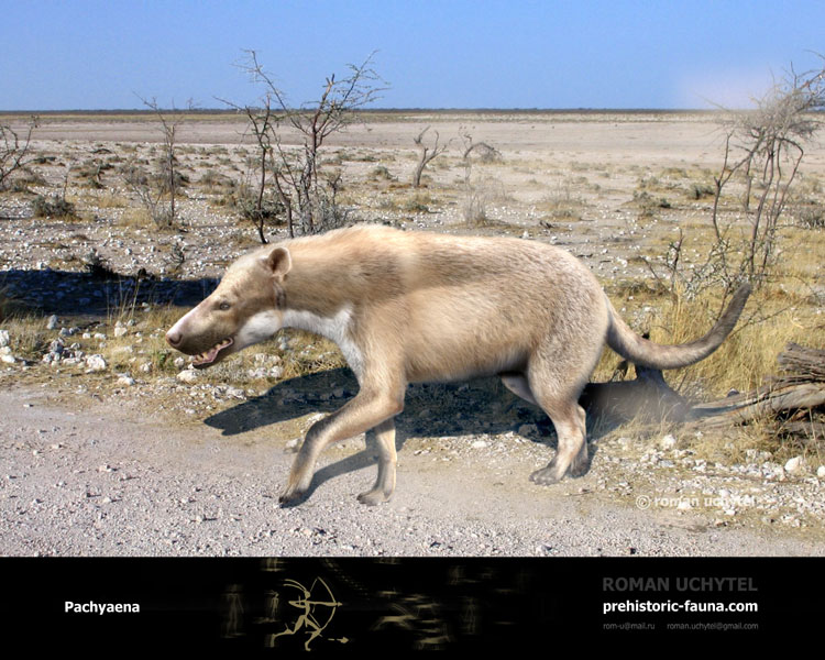 Escenarios prehistóricos: Pachyaena